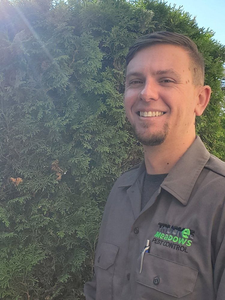 TRUCKEE MEADOWS PEST CONTROL - Updated August 2025 - 33 Photos & 23 ...