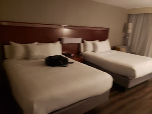 COURTYARD BY MARRIOTT ALBUQUERQUE - 62 Photos & 72 Reviews - Hotels ...