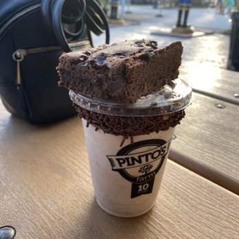 PINTO’S FARM - Updated December 2024 - 498 Photos & 171 Reviews - 14890 ...