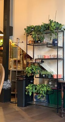 FRESH POTS - 73 Photos & 24 Reviews - 221 West Main St, Greenwood, IN ...