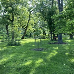 ADAMS RICCI PARK - Updated June 2025 - 26 Photos - 100 E Penn Dr, Enola ...