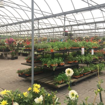 SHERIDAN NURSERIES - Updated January 2026 - 11 Photos & 16 Reviews ...