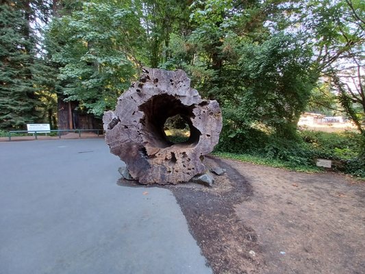 ANCIENT REDWOODS RV PARK - Updated October 2025 - 91 Photos & 32 ...