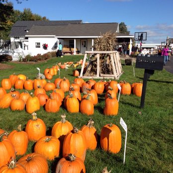 POST FAMILY FARM - Updated September 2024 - 42 Photos & 29 Reviews ...