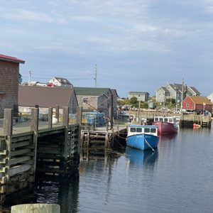 CROSWELL CHARTERS & MOTORCOACH TOURS - Updated April 2025 - 16 Photos ...