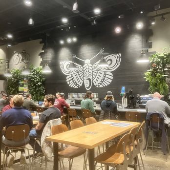 NOCTERRA BREWING CO. - AUDUBON - Updated June 2025 - 66 Photos & 27 ...