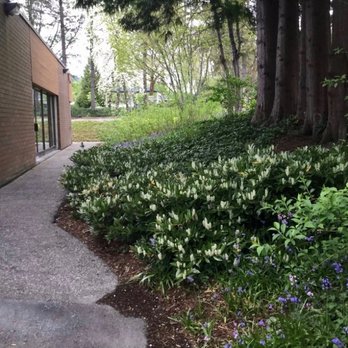 BURNABY PUBLIC LIBRARY - Updated October 2025 - 36 Photos - 9523 ...