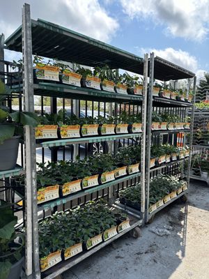 PAT’S FARMS GARDEN CENTER - Updated May 2024 - 51 Photos - 1126 Merrick ...