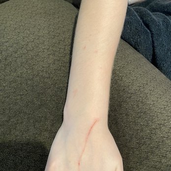 WINDKIST EQUESTRIAN CENTRE - Updated January 2026 - 15 Reviews - 125 ...