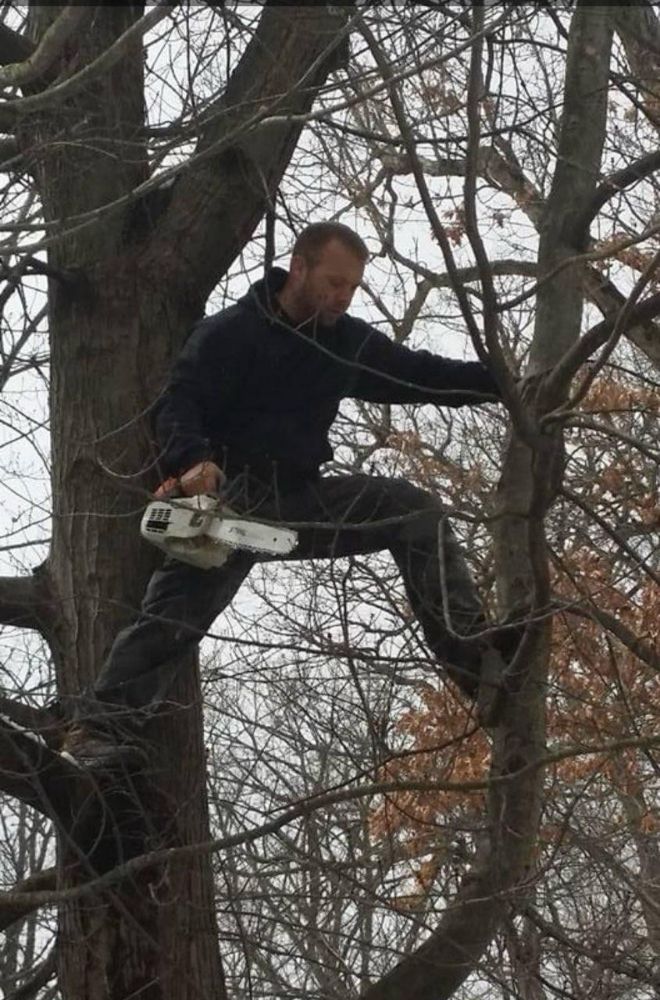 BAM TREE SERVICE - Updated May 2024 - 14 Photos - Bristol, Indiana ...