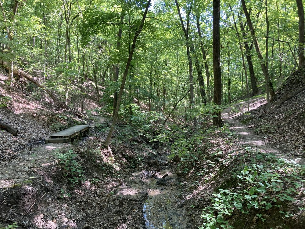 DETWEILLER PARK - Updated May 2025 - 13 Photos - 8327 N Galena Rd ...