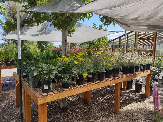 MOUNTAIN VIEW TREE FARM - Updated November 2025 - 40 Photos & 12 ...