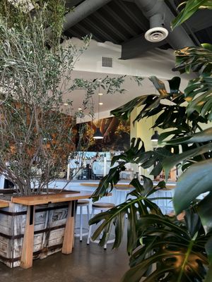 DOT CAFE - Updated December 2025 - 195 Photos & 70 Reviews - 5550 ...