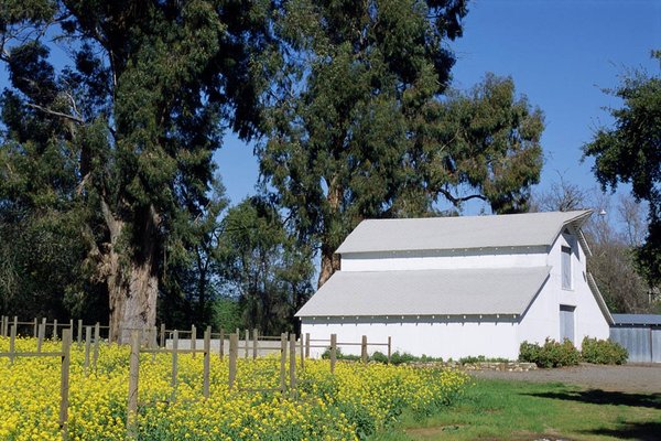 HENDRY RANCH WINERY NAPA VALLEY - Updated December 2025 - 552 Photos ...