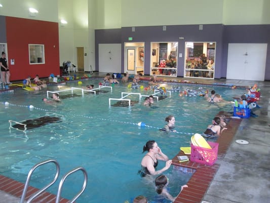 SILVER BEAR SWIM SCHOOL - 11 Photos & 63 Reviews - 8755 Technology Way ...