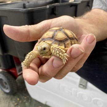 EAST BAY VIVARIUM - Updated September 2025 - 717 Photos & 612 Reviews ...