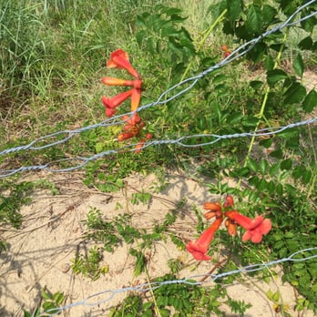 GLOUCESTER POINT BEACH PARK - Updated October 2025 - 134 Photos - 1255 ...