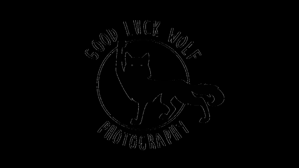 GOOD LUCK WOLF PHOTOGRAPHY - Updated June 2024 - 38 Queen Street ...