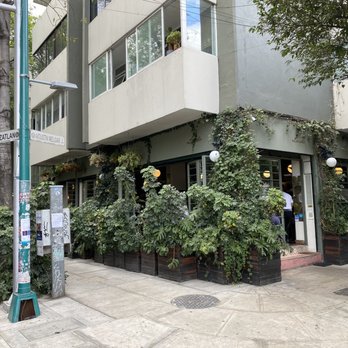 CAFÉ MILOU - Updated October 2025 - 22 Photos & 17 Reviews - Av ...