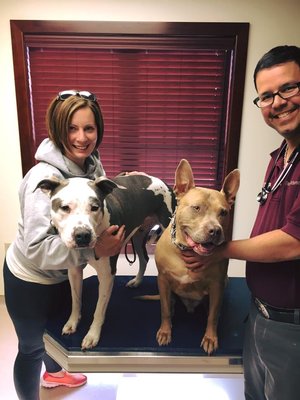 ADORING PETS - Updated July 2026 - 13 Photos & 27 Reviews - 484 Sunset ...