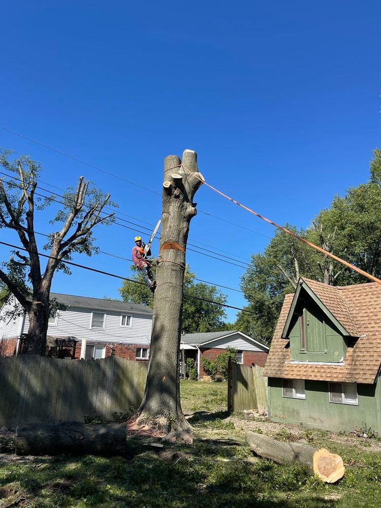 PR TREE SERVICE - Updated November 2025 - 13 Photos - Indianapolis ...