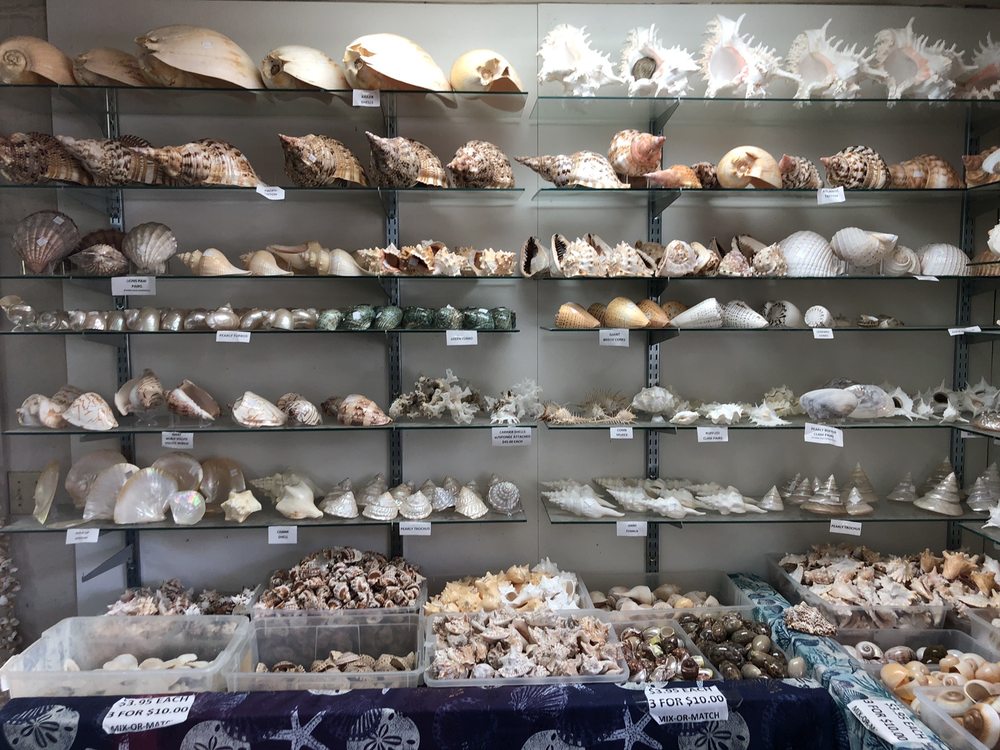 SANIBEL SEASHELL INDUSTRIES - Updated January 2026 - 25 Photos & 11 ...