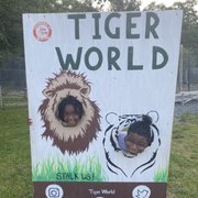 TIGER WORLD - 300 Photos & 80 Reviews - Zoos - 4400 Cook Rd, Rockwell ...