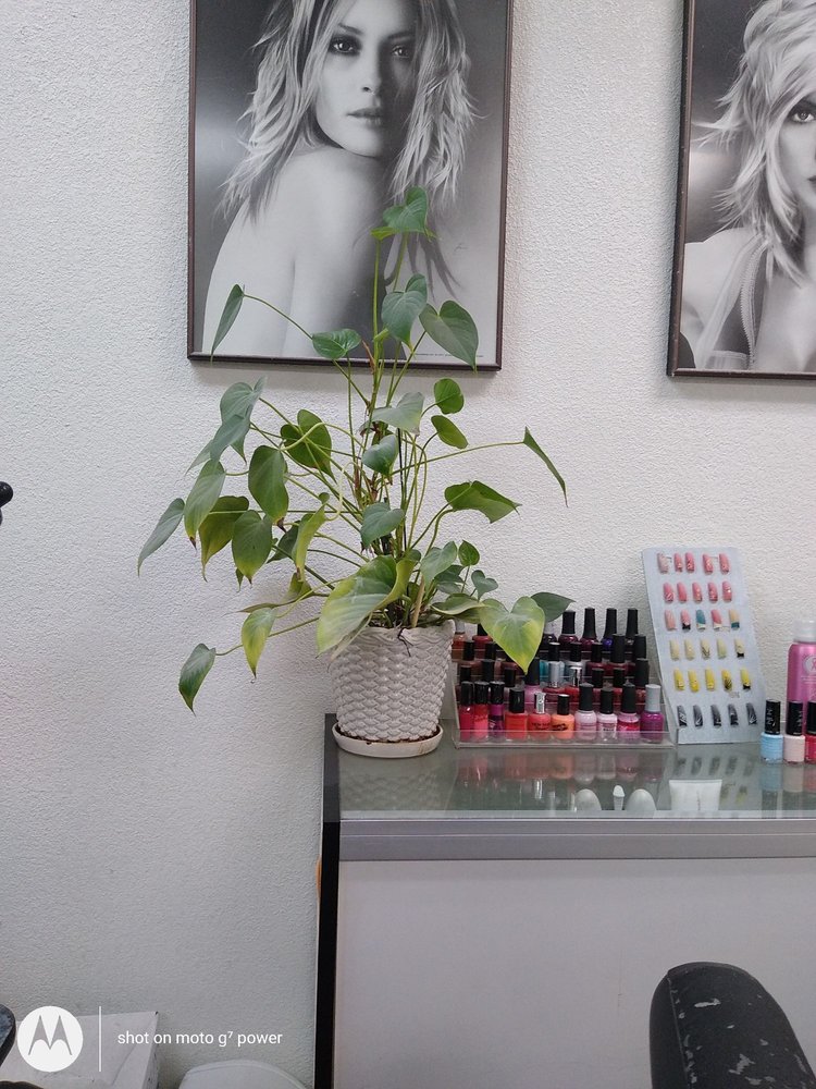 BELLA SALON - Updated July 2025 - 6409 McCart Ave, Fort Worth, Texas ...