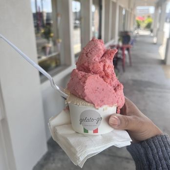 GELATO-GO - FORT MYERS - Updated July 2024 - 55 Photos & 35 Reviews ...