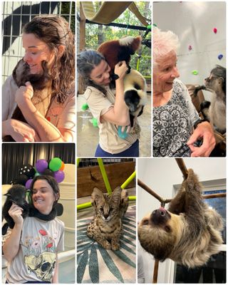 FUNKY MONKEY RANCH - Updated April 2026 - 60 Photos & 11 Reviews - 4965 ...