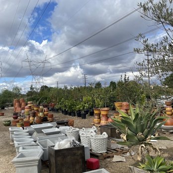 GREEN VALLEY GROWERS WHOLESALE NURSERIES - 80 Photos & 72 Reviews ...