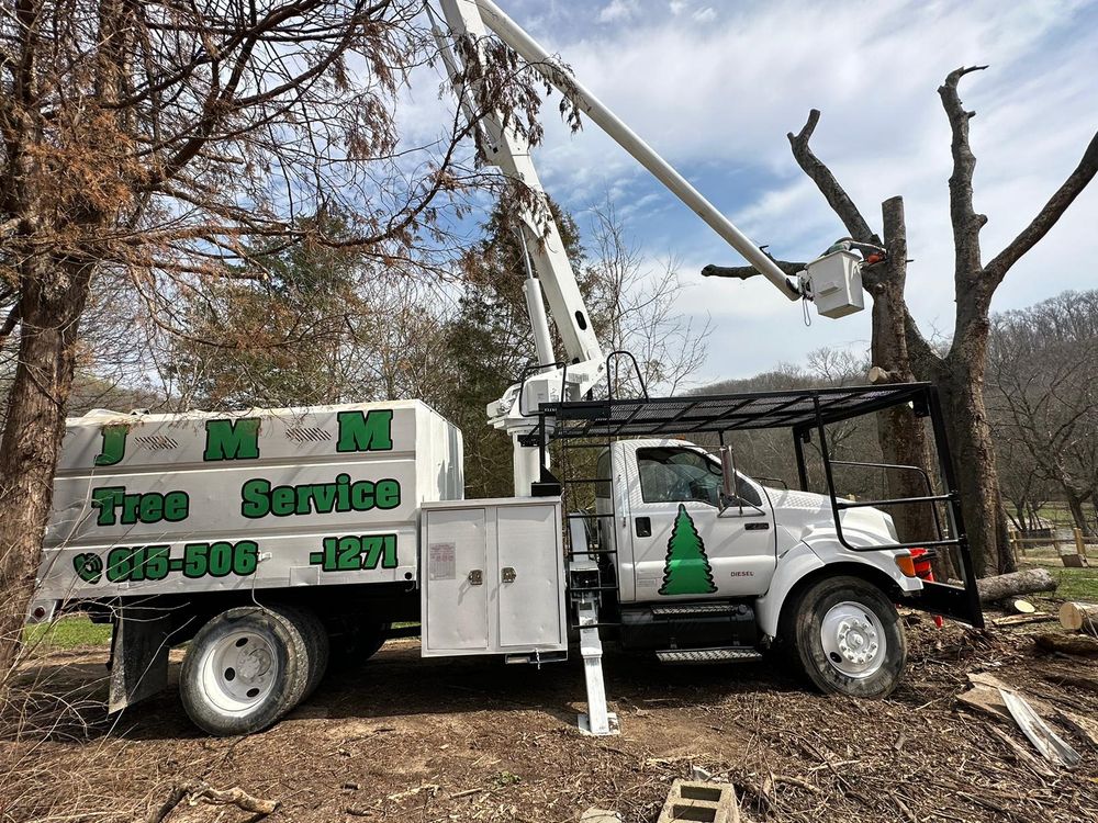 JMM TREES SERVICE - Updated December 2025 - 28 Photos - 5024 Packard Dr, Nashville, Tennessee ...