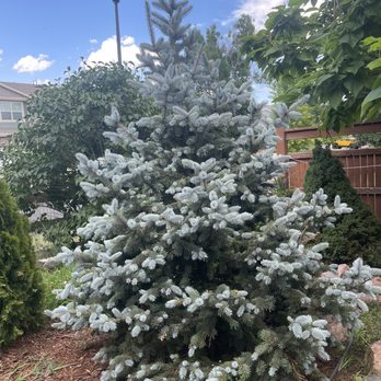 THE TREE FARM NURSERY & GARDEN CENTER - Updated August 2025 - 34 Photos ...