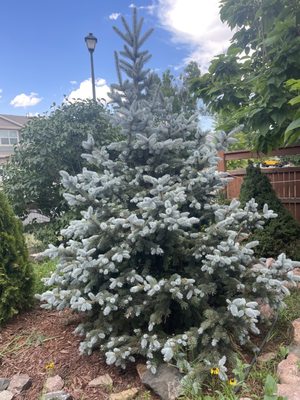 THE TREE FARM NURSERY & GARDEN CENTER - Updated July 2025 - 25 Photos ...