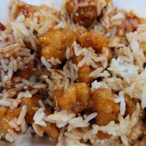 SPRING GARDEN - Updated June 2024 - 10 Photos & 50 Reviews - 1217 Bay ...