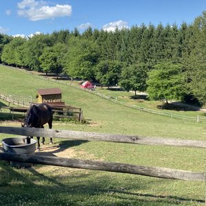 BEAR RUN CAMPGROUND - 40 Photos & 28 Reviews - 184 Badger Hill Rd ...