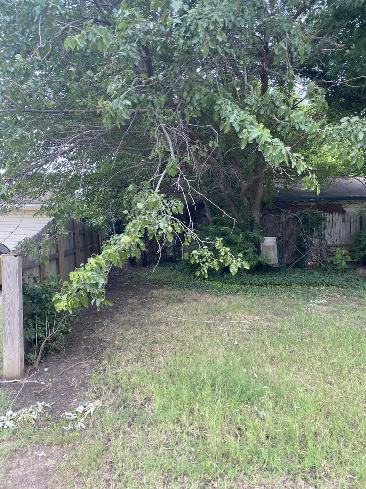 CARTER BROS LAWN - Updated July 2025 - 11 Photos - 502 Canary St ...