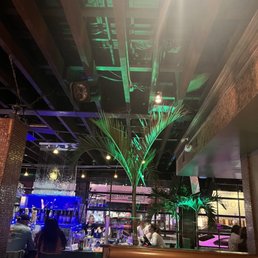 CABO - Updated December 2025 - 775 Photos & 833 Reviews - 3A N Park Ave ...