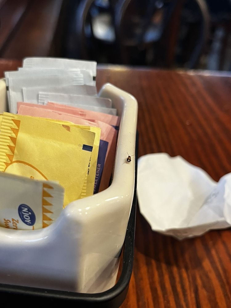 LA MADELEINE - Updated May 2025 - 215 Photos & 223 Reviews - 10001 ...