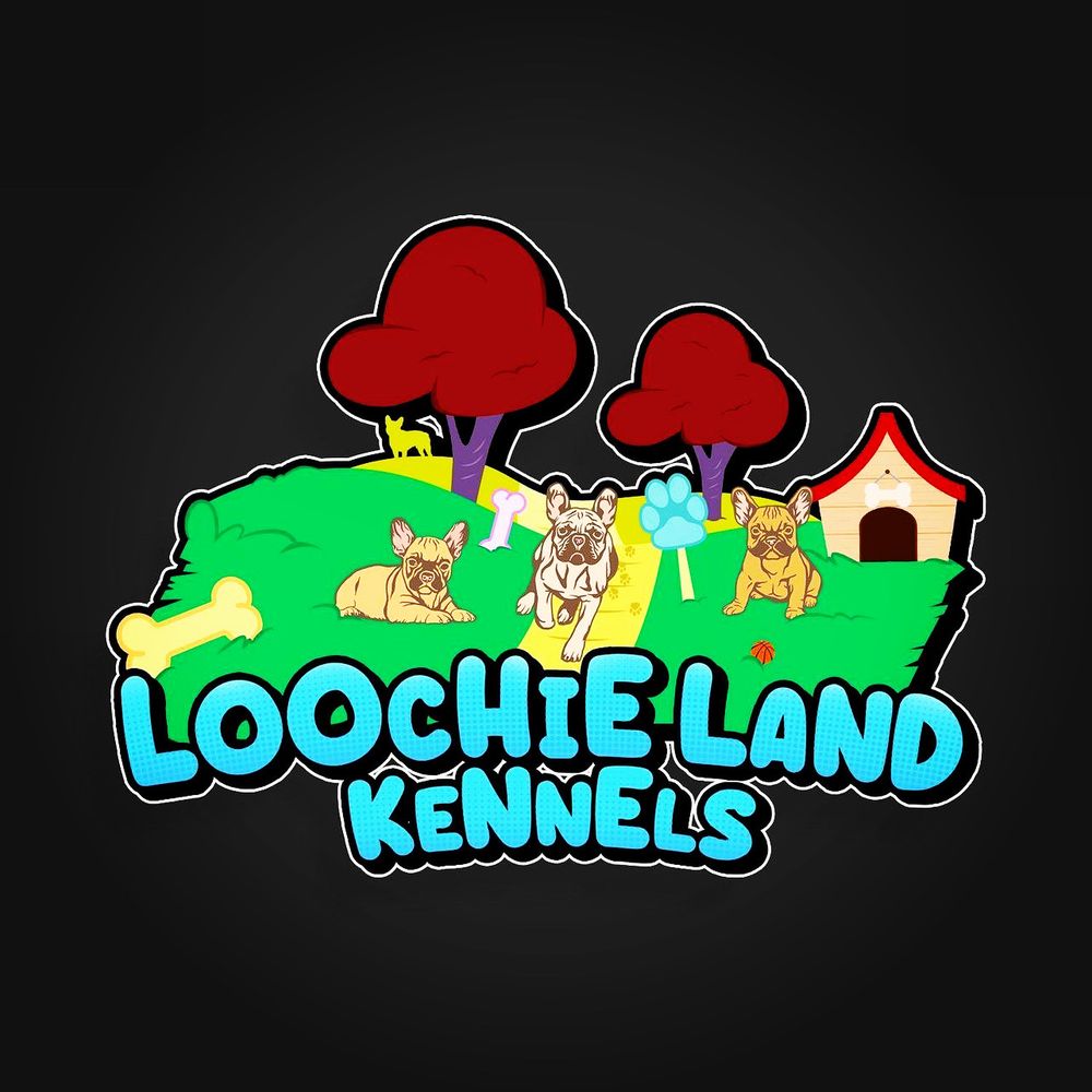 LOOCHIE LAND KENNELS - Updated September 2025 - Hempstead, New York ...