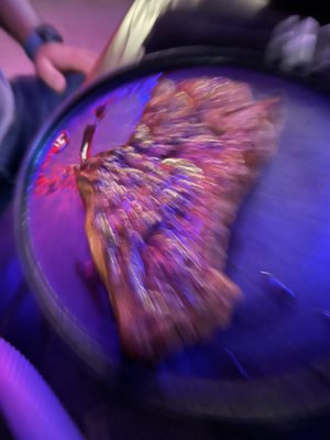 WESO STEAKHOUSE - 12 Photos & 15 Reviews - 601 N Mesa St, El Paso, TX ...