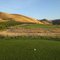 THE COURSE AT WENTE VINEYARDS - Updated December 2025 - 133 Photos ...