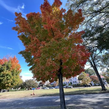 BYRD PARK - Updated December 2025 - 75 Photos & 38 Reviews - 600 S Blvd ...