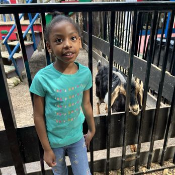 THE GIRLS STRAWBERRY U-PICK - Updated April 2025 - 1002 Photos & 247 ...