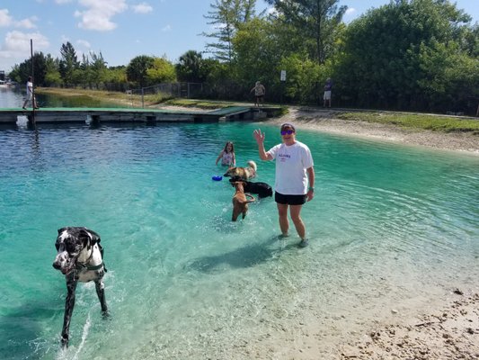 TIGERTAIL LAKE SOUTH DOG PARK - Updated December 2025 - 80 Photos & 42 ...