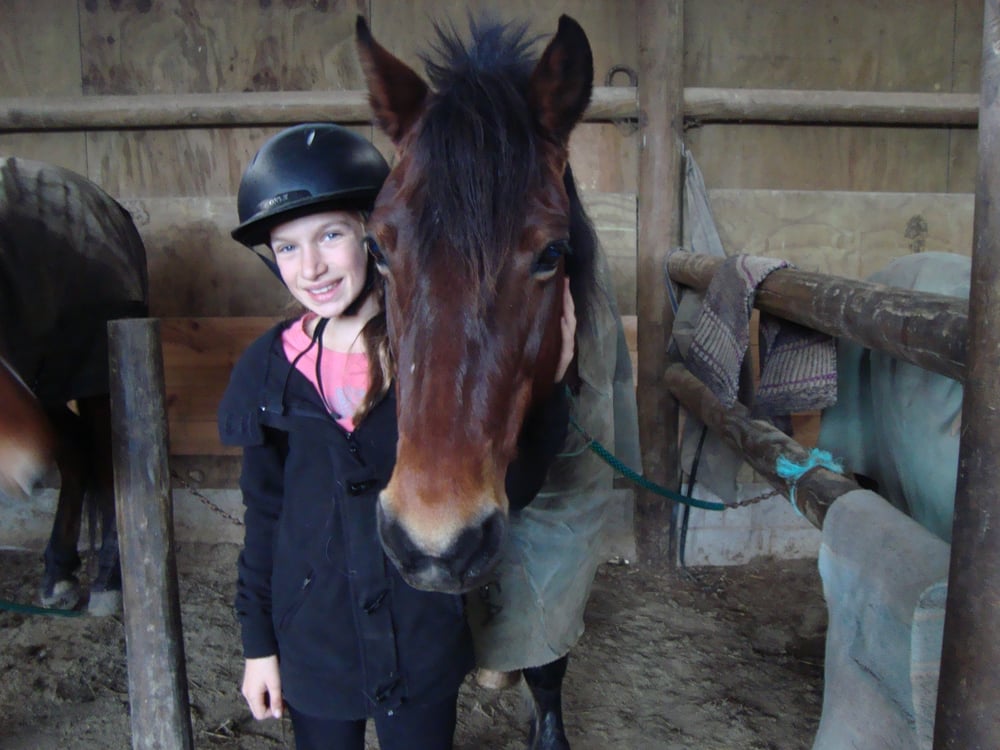 SONSHINE RANCH - Updated May 2025 - 223 Creightons Rd, Auckland, New ...