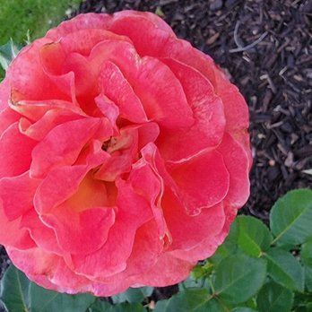 ASCENSION BORGESS HOSPITAL - Updated February 2025 - 25 Photos & 69 ...