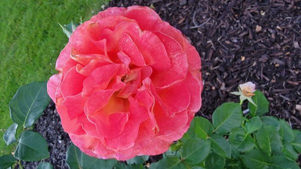 ASCENSION BORGESS HOSPITAL - Updated January 2026 - 25 Photos & 88 ...