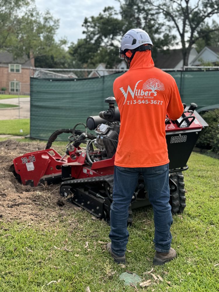 WILBERS TREE SERVICE - Updated December 2025 - 28 Photos - 5024 Breen ...