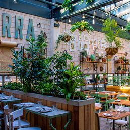 TERRA - Updated January 2026 - 1363 Photos & 688 Reviews - 800 Boylston ...